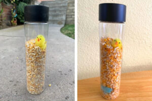 Feeding Chickens Sensory Bin {Fun Easter Activity} - totschoolresources.com