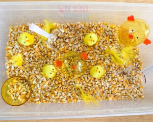 Feeding Chickens Sensory Bin {Fun Easter Activity} - totschoolresources.com