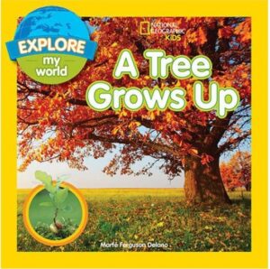 10 Best Tree Books {for preschoolers} - totschoolresources.com