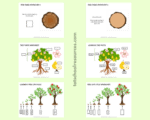 Tree Activities for Young Kids {Tree Unit Study} - totschoolresources.com