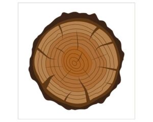 Tree Activities for Young Kids {Tree Unit Study} - totschoolresources.com