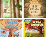 Tree Activities for Young Kids {Tree Unit Study} - totschoolresources.com