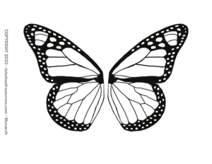 Butterfly Wing Templates (FREE PRINTABLES) - totschoolresources.com