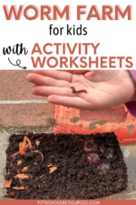 Worm Unit Study {and Worm composting experiment} - totschoolresources.com