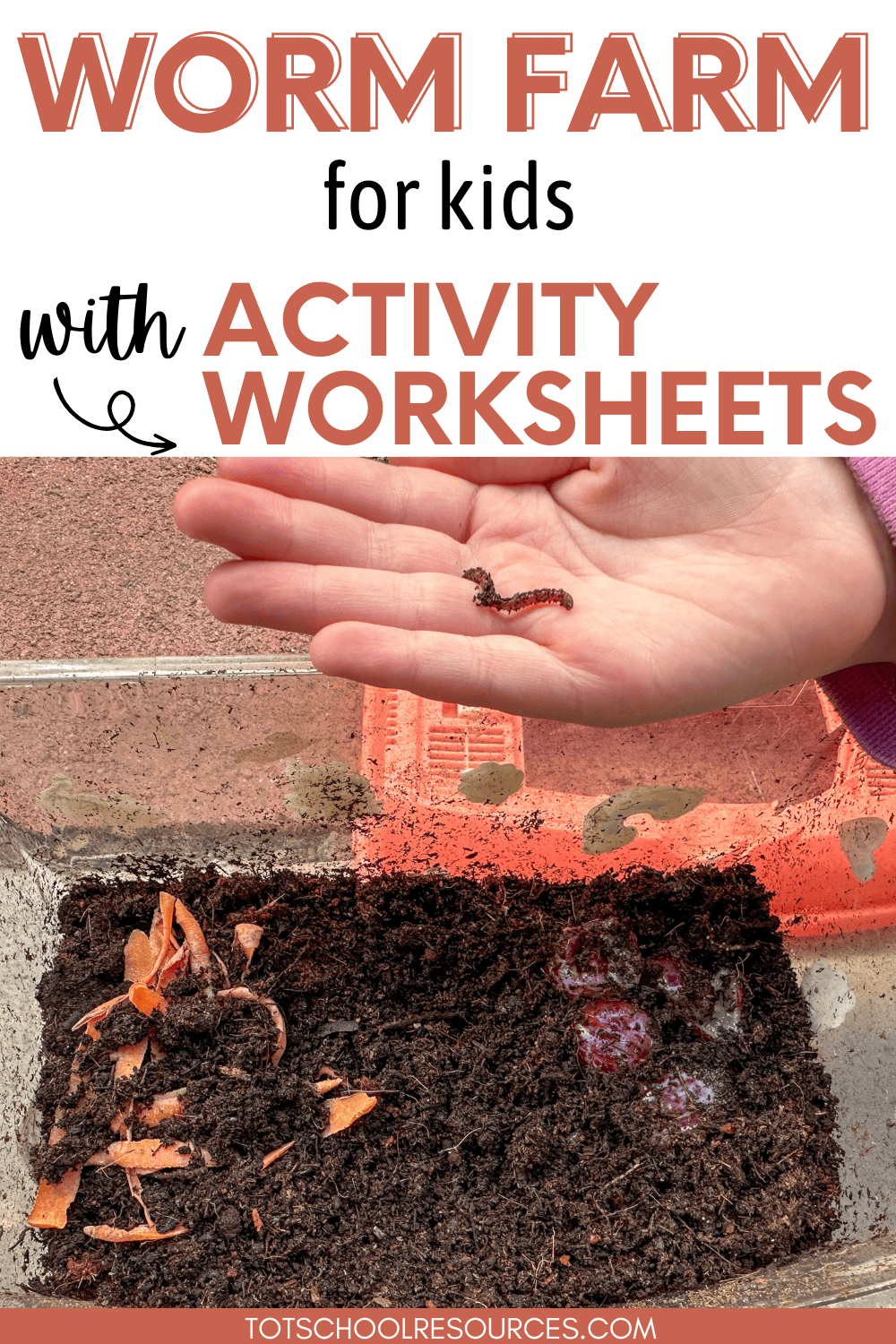 Worm Unit Study {and Worm composting experiment} - totschoolresources.com