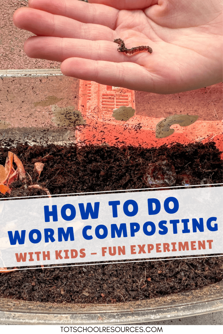 Worm Unit Study {and Worm composting experiment} - totschoolresources.com