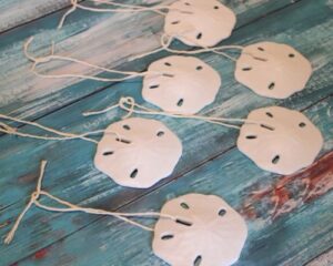 Hydro Dipped Sand Dollar Craft {with nail polish} - totschoolresources.com