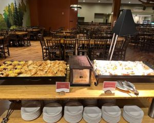 Is a Trip to Great Wolf Lodge Anaheim Worth It? Here's My Honest Review ...